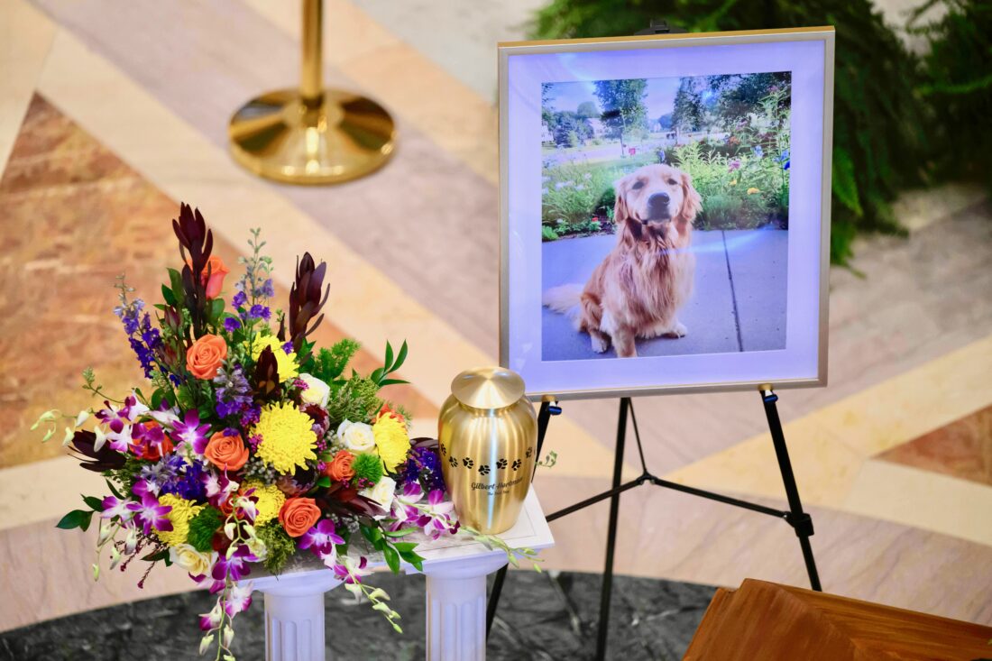 A slain Minnesota lawmaker’s beloved dog, Gilbert, stays with her as ...
